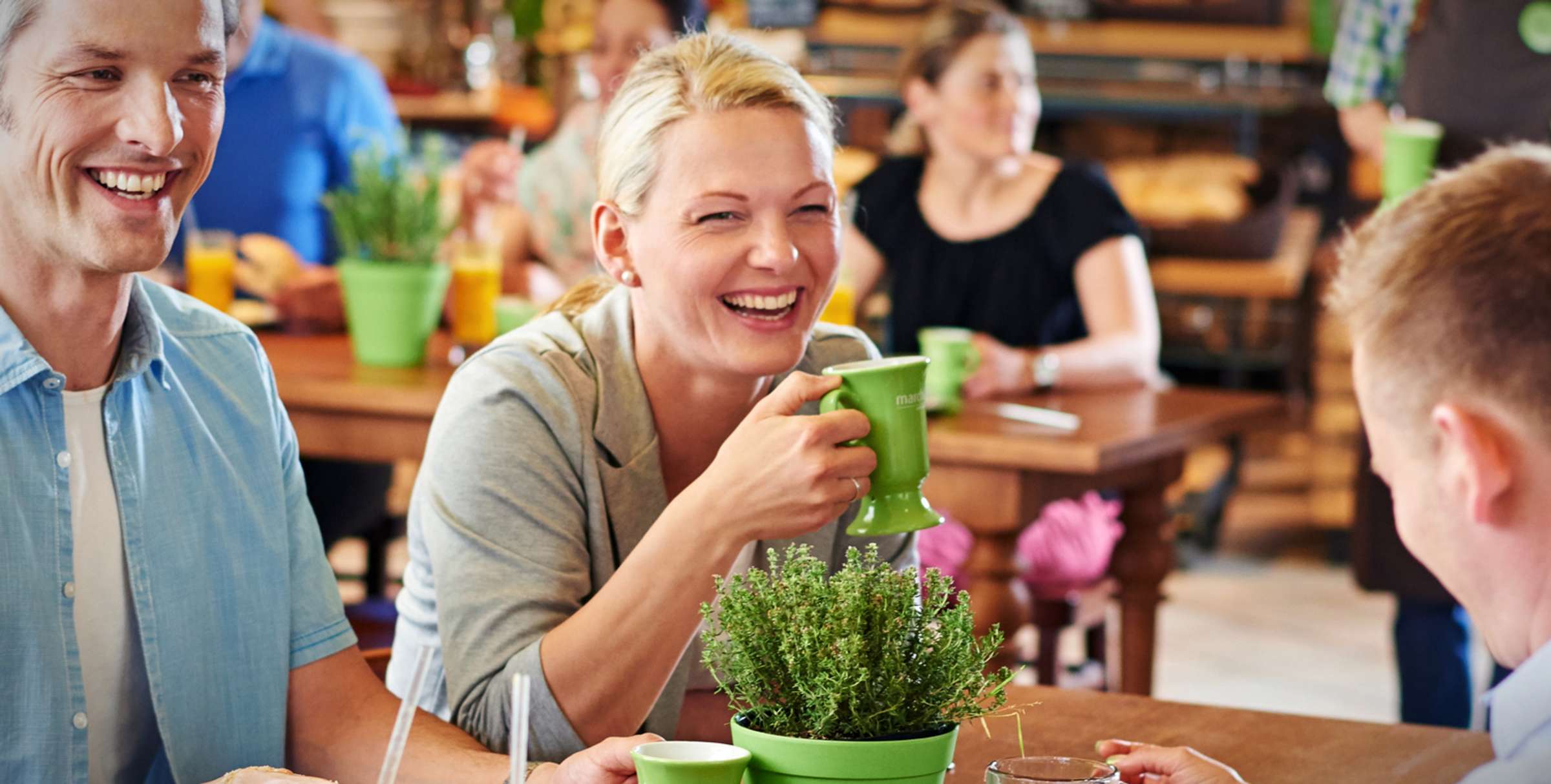 Marché | Restaurants with homemade dishes prepared with care | Marché